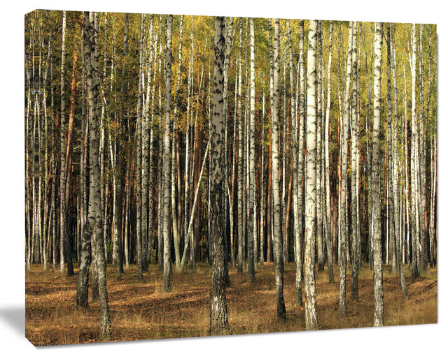 Designart - Green Fall Forest with Thick Trees - Forest Canvas Art ...
