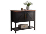 Duquette 2-Door Modern Storage Console Table - Transitional - Console ...