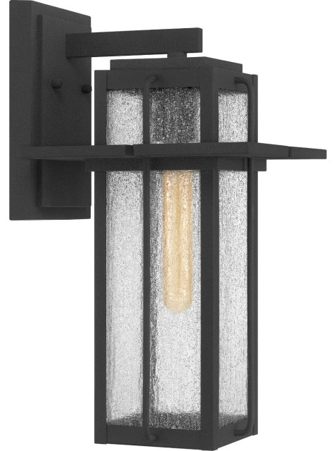 Quoizel Randall Outdoor Hanging Light, Mottled Black - by Buildcom | Houzz