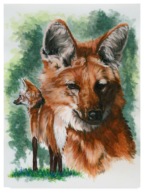 "Elegant" by Barbara Keith, Canvas Art, 24"x18" - Rustic - Prints And ...