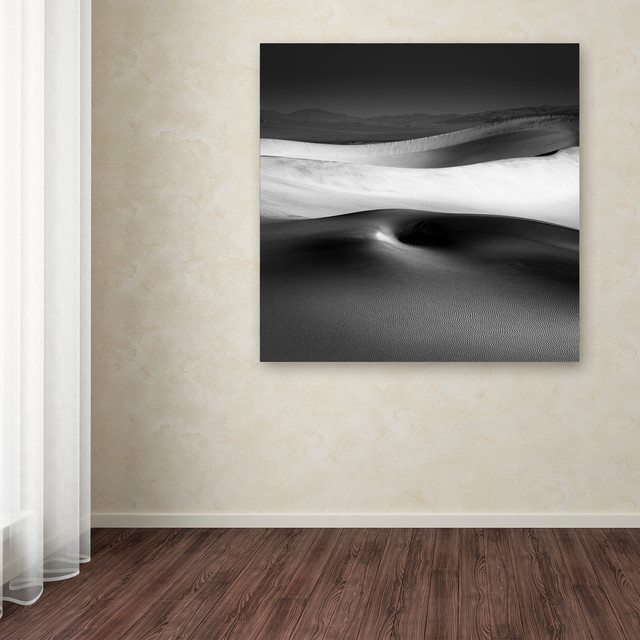 'Navel' Canvas Art by Dave MacVicar, 24" x 24" - Transitional - Prints ...