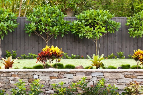 Tropical Privacy Trees Along Fence