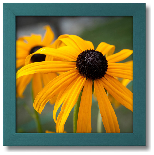 Bold Legacy .75" Frame, 4"x6" - Contemporary - Picture Frames - by ...
