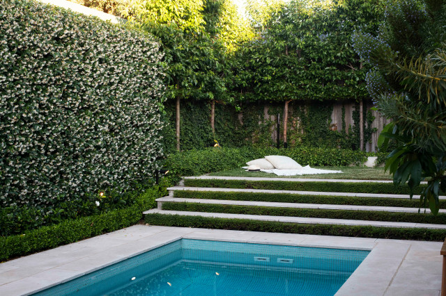 How to Disguise a Garden Wall That's Ugly | Houzz AU