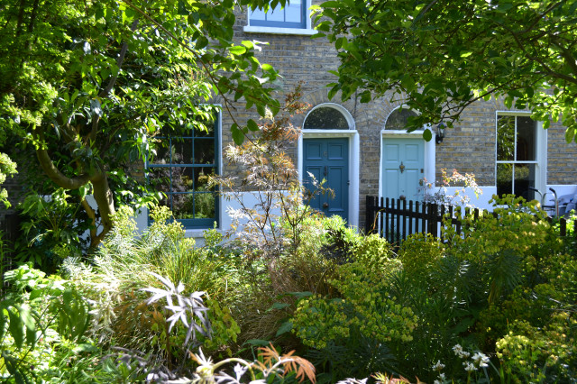 Garden Tour: A City Front Garden With a Wild, Rural Feel | Houzz UK