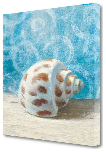 30" Mod Blue Scroll Coastal Conch 2 Giclee Wrap Canvas Wall Art - Beach ...