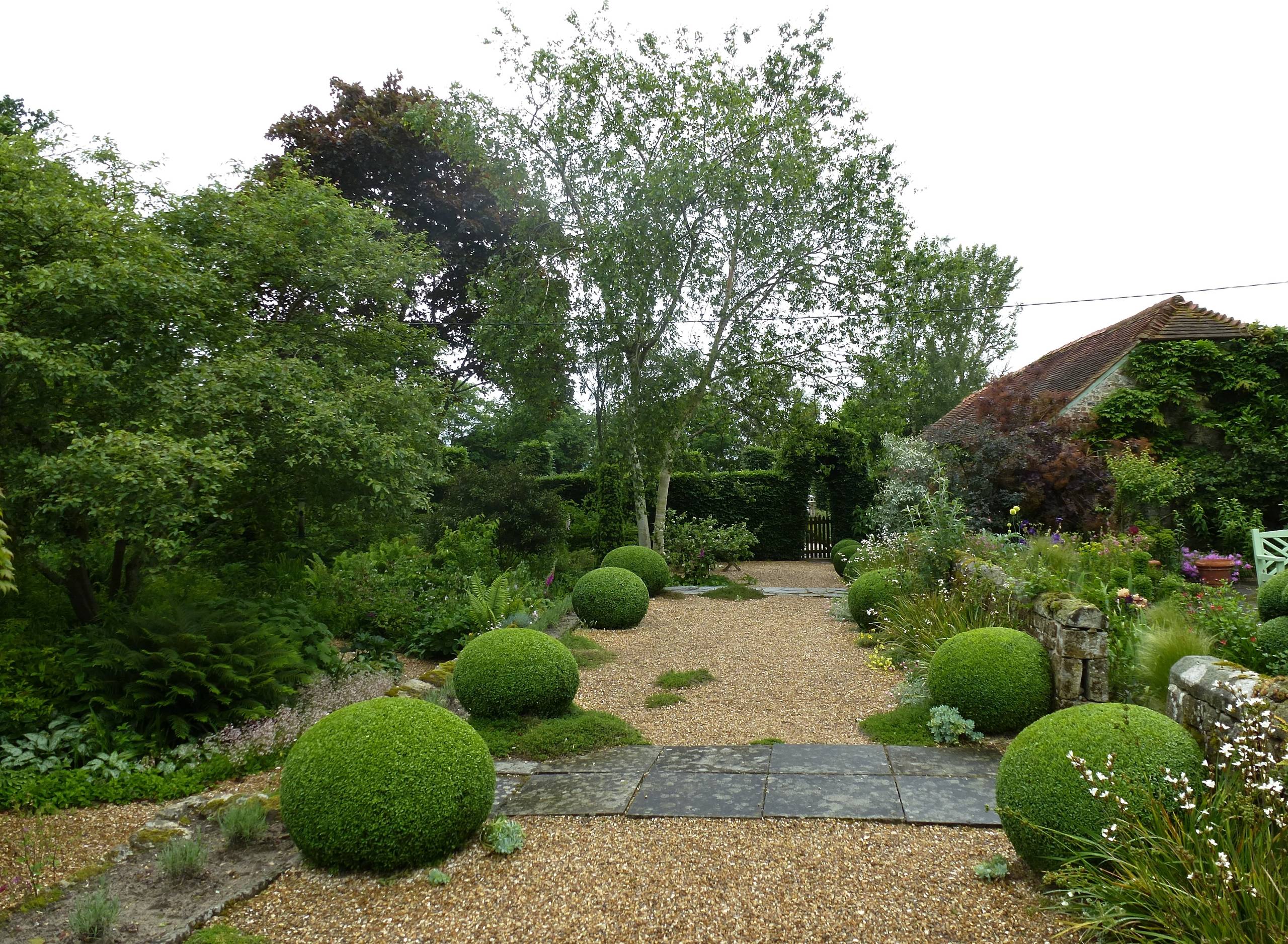 Don't Hedge Me In: Check Out These Alternatives to Box Hedges | Houzz AU