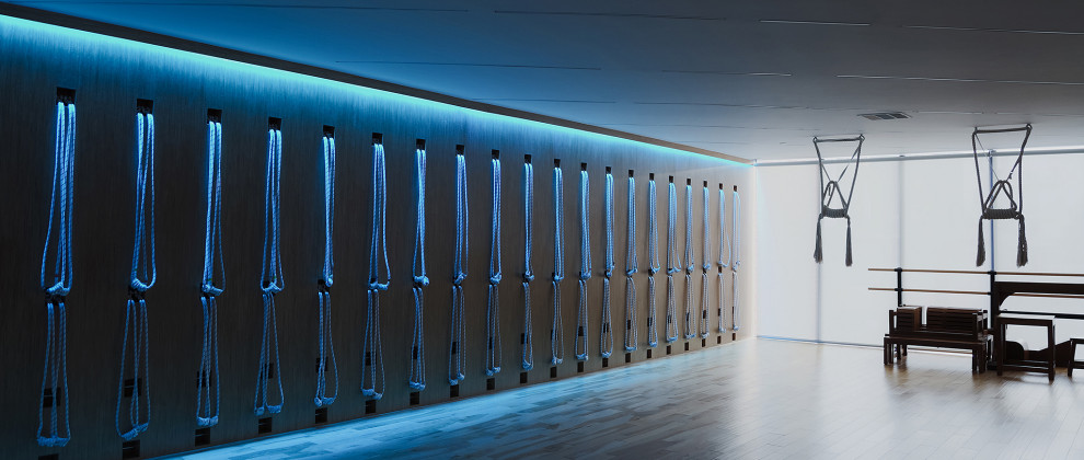 Yoga Studio Lighting - Other - by Centerlight Custom Solutions | Houzz