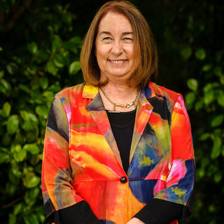 JANE HYDER ARTIST. - Project Photos & Reviews - Wellington, NZ NZ | Houzz