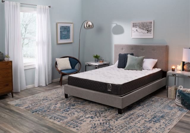 Buena vista plush mattress store