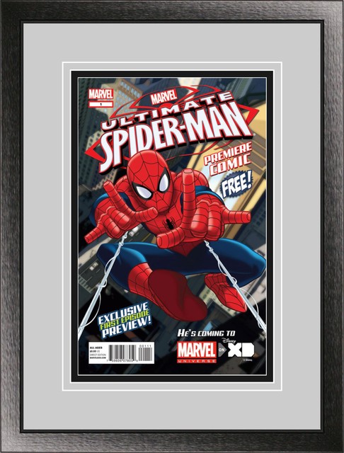Single Comic Book Frame with Classic Moulding - Traditional - Picture ...