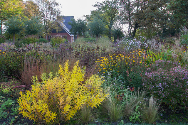 How to Grow a Garden From Seed