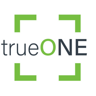 TRUEONE GROUP, LLC - Project Photos & Reviews - Lynnwood, WA US | Houzz