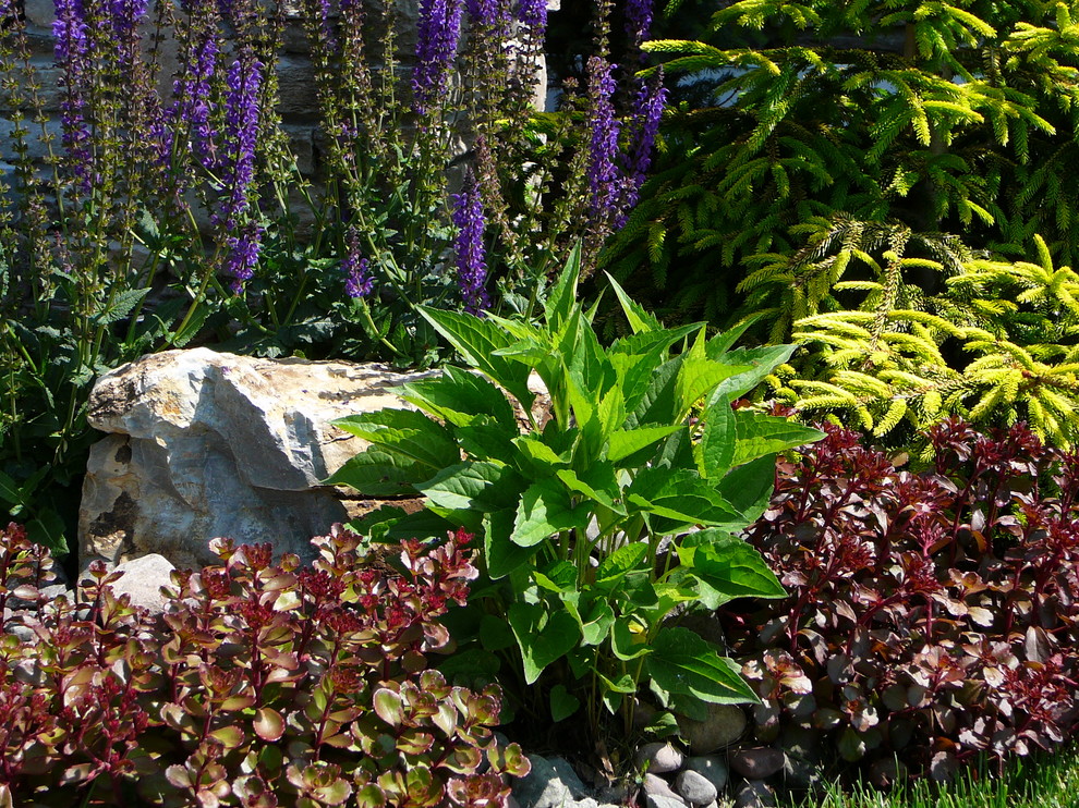 Dare to Mix Things Up in the Landscape