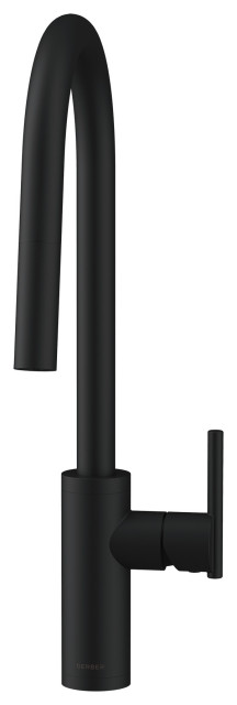 Parma Cafe Pull-Down Kitchen Faucet w/ SnapBack Retraction ...