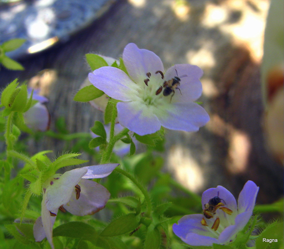 In appreciation for the small, insignificant, and more unusual ...