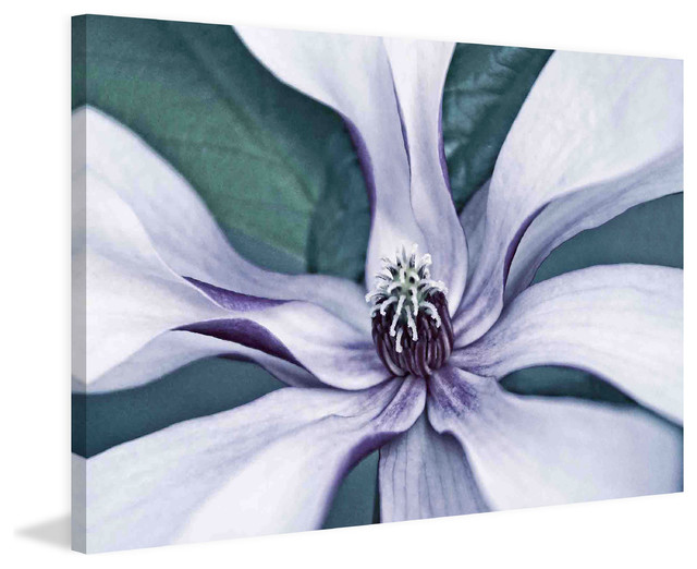 "Intimate Bloom 2" Painting Print on Canvas by Robertson, 24"x16 ...