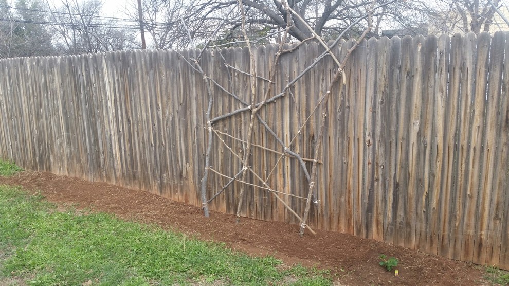 Two types of trellis - need advice!