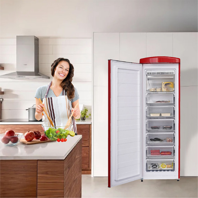 24 in. Classic 8.3 Cu. FT. Frost Free Retro Upright Freezer ...