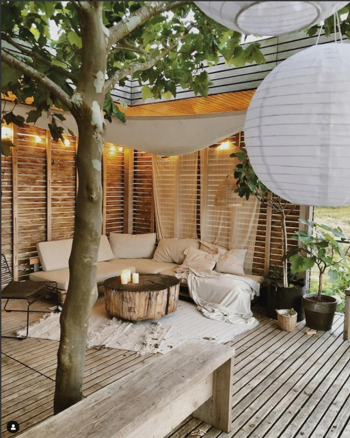 Terasse - Modern - Terrasse - Stuttgart - von FRIDA plant | Houzz