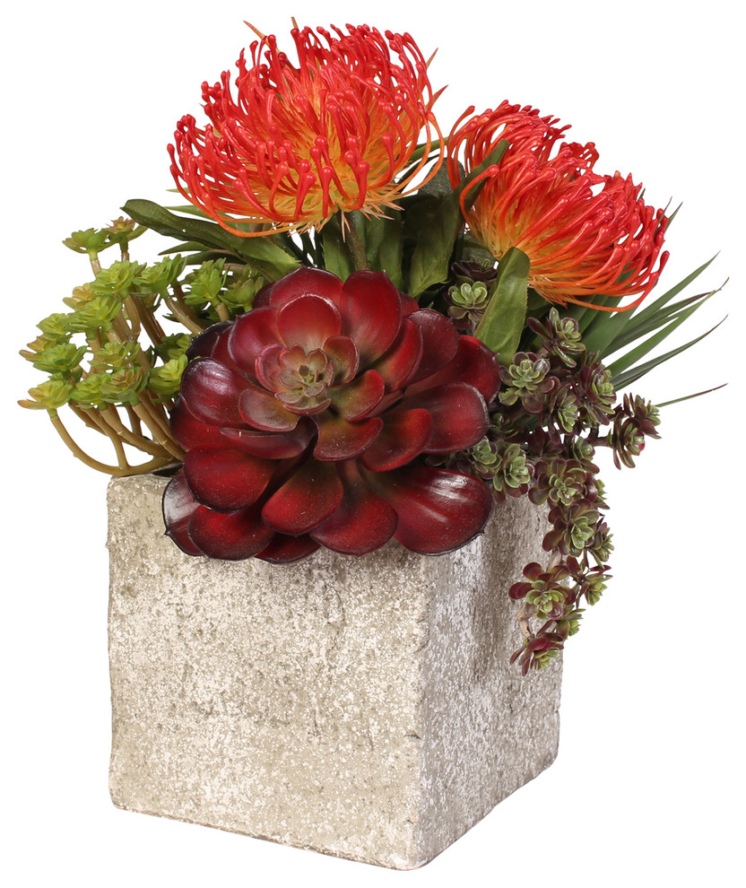 Jade Plant and Rosette Succulents Arrangement in Cement Pot, 9W x 9D x ...