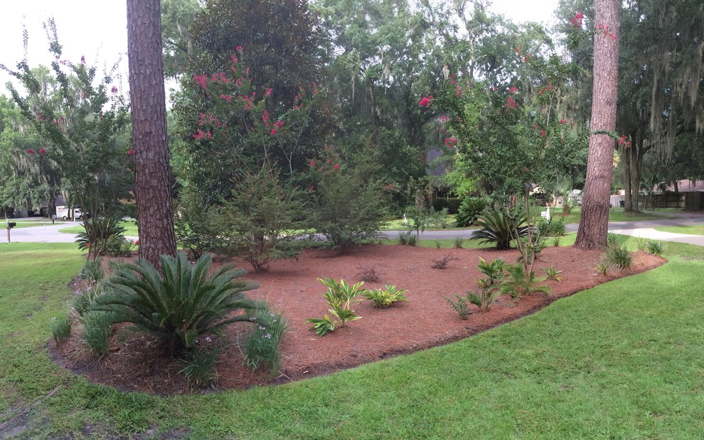 Help fixing up front yard