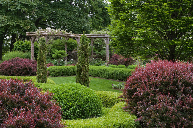Don't Hedge Me In: Check Out These Alternatives to Box Hedges | Houzz AU