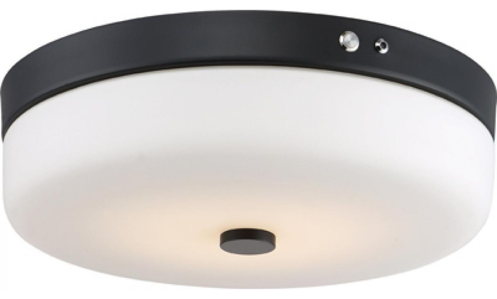 LED Emergency Lighting - Flush Fixture - Aged Bronze Finish ...