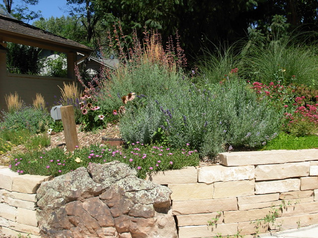 Xeric landscape in Greenwood Village, CO - Contemporary - Landscape ...