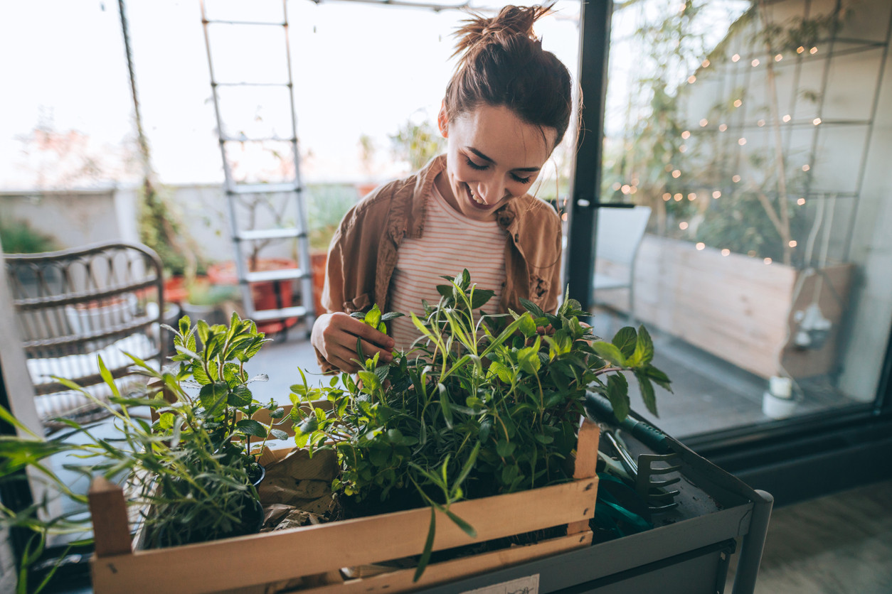 Experts Share: The Features That Combine to Make a Happy Home | Houzz NZ
