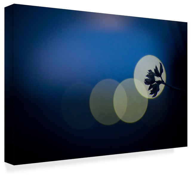 Kouji Tomihisa 'Hikari' Canvas Art, 32"x22" - Contemporary - Prints And Posters - by Trademark ...