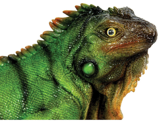 Michael Carr Iguana Medium Resin Figure for Gardens - Contemporary - Garden Statues And Yard Art ...