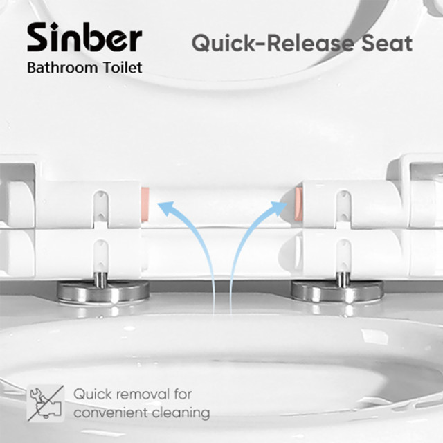 Sinber 28" One Piece Bathroom Toilet with Cotton White Finish and and ...
