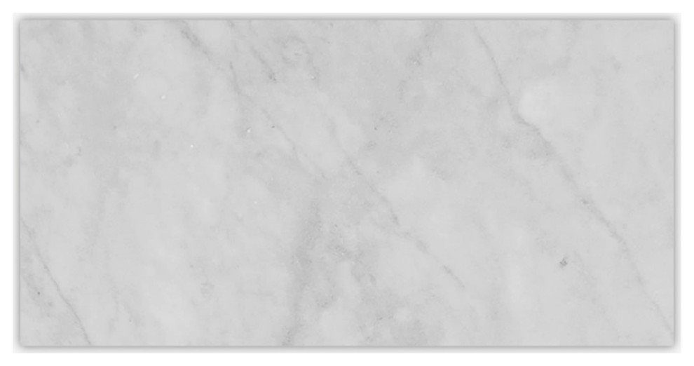 Carrara Classic Honed 12x24 Marble Tile, 12x24 - Traditional - Wall And ...
