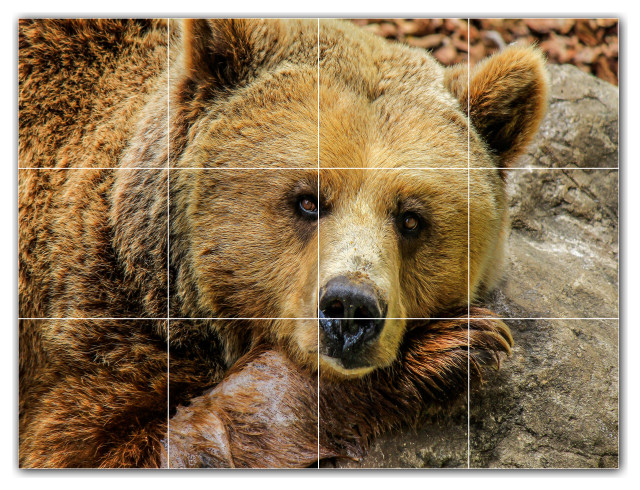 Bear Ceramic Tile Wall Mural HZ500125, 32" Wide x 24" High - Rustic ...