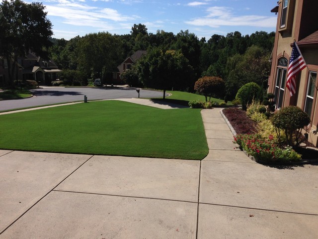 Specticle g by Bayer