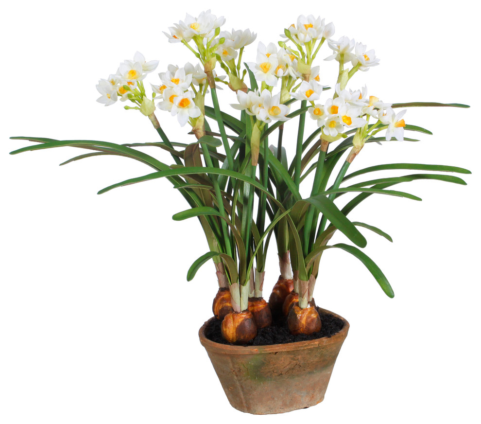 Potted Faux Paperwhite Lilies, White - Contemporary - Artificial Flower ...
