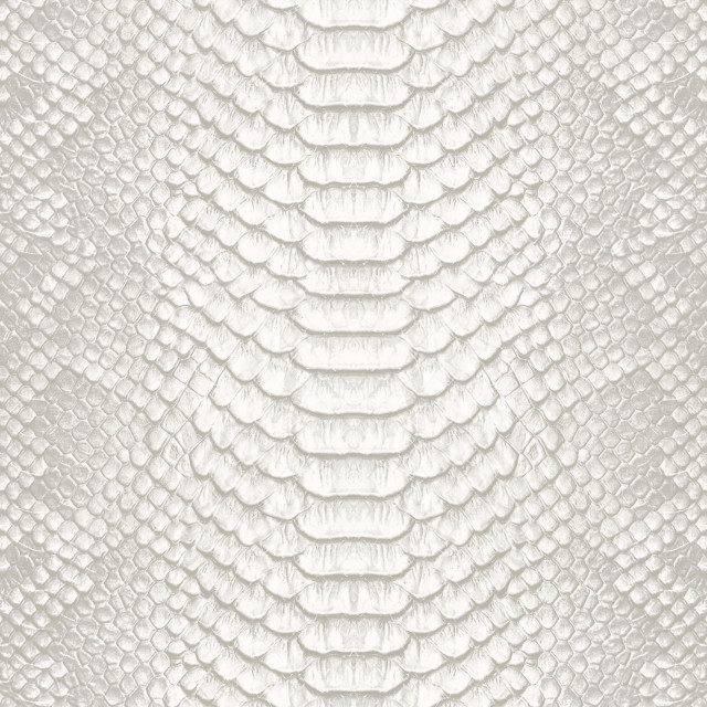 6' Tall Double Sided White Snake Print Canvas Room Divider ...