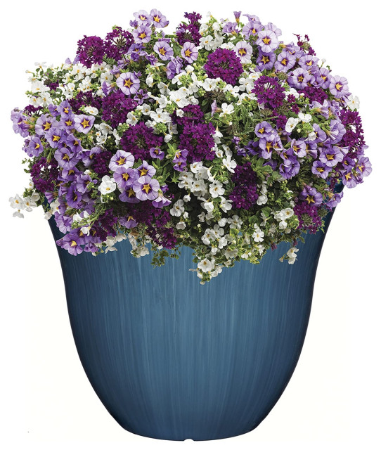 Classic Home and Garden Honeysuckle Resin Flower Pot Planter, Ocean ...