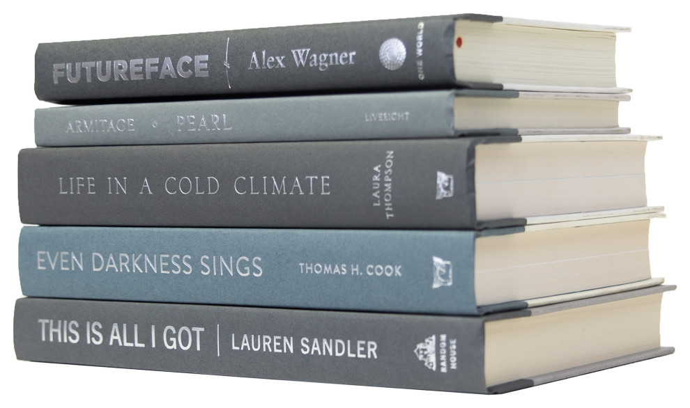 Modern Slate Book Stack, 5-Piece Set - Traditional - Books - by Booth ...