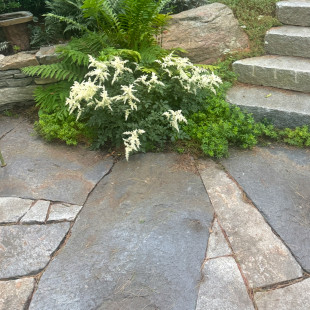 FINE STONE TIMBER & TRAILS LANDSCAPE CONSTRUCTION - Project Photos ...