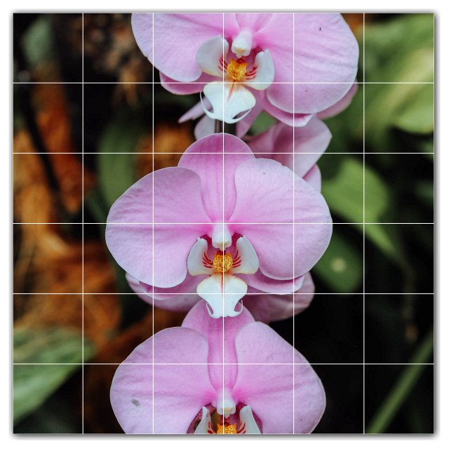 Flowers Ceramic Tile Wall Mural HZ500633, 72" Wide x 72" High ...