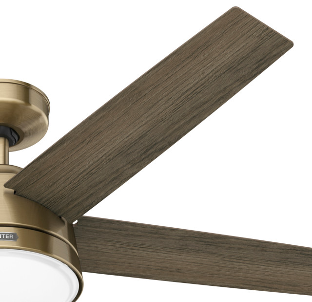 Hunter Lykke Ceiling Fan, LED Light Kit, Handheld Remote - Transitional ...