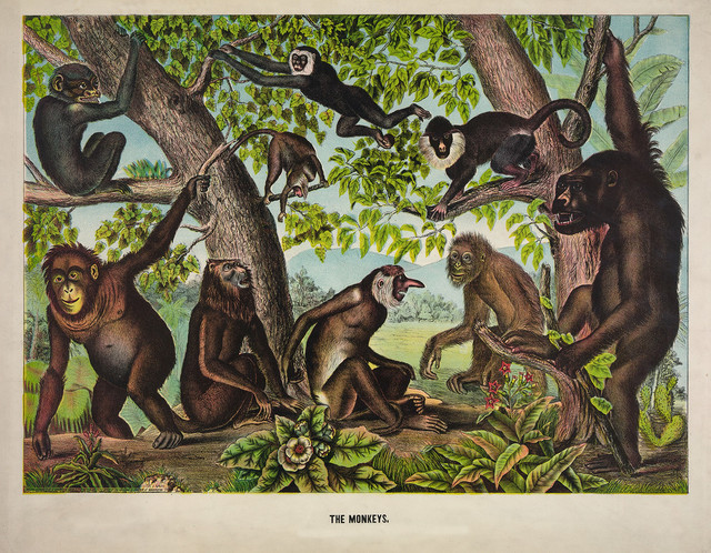 The Monkeys Print, 18" x 24" - Contemporary - Prints And Posters - by ...