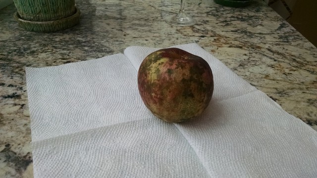 identification of black spots on apples
