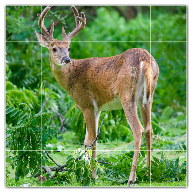 Deer Ceramic Tile Wall Mural HZ500439, 30" Wide x 30" High - Rustic ...