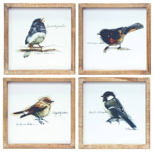 Framed Bird Print, 4-Piece Set - Contemporary - Prints And Posters - by ...
