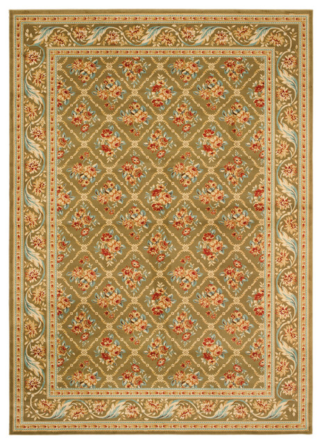 Safavieh Lyndhurst Collection LNH556 Rug, 8'x11' - Traditional - Area ...
