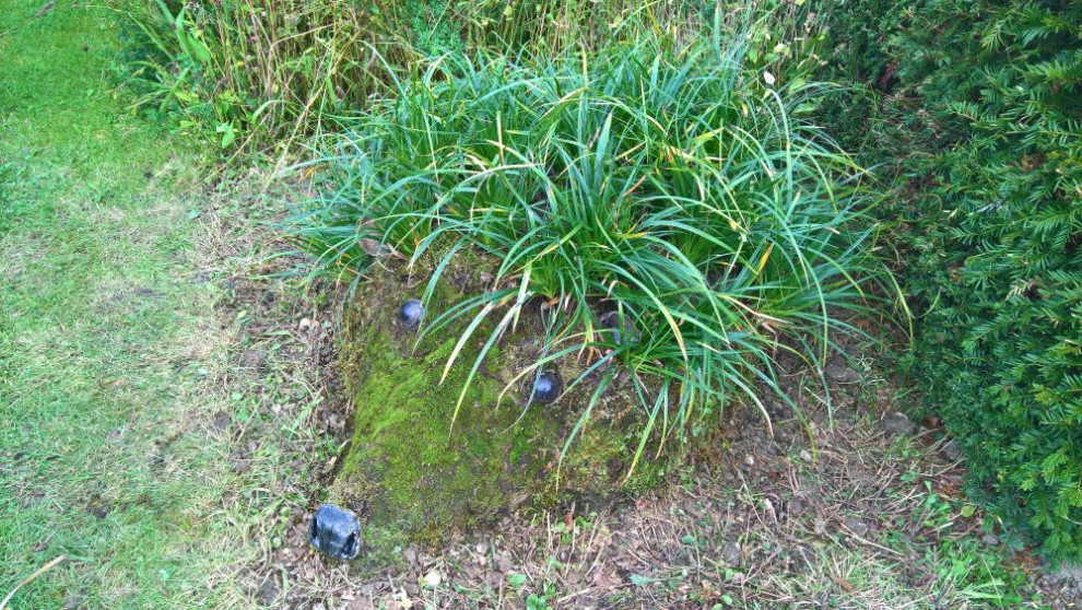 Hedgehog Street - giant 'SEDGE HOG' sculpture made of clay, sedges and ...