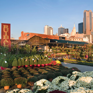 RUIBAL'S PLANTS OF TEXAS - Project Photos & Reviews - Dallas, TX US | Houzz